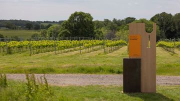 Sussex Winelands